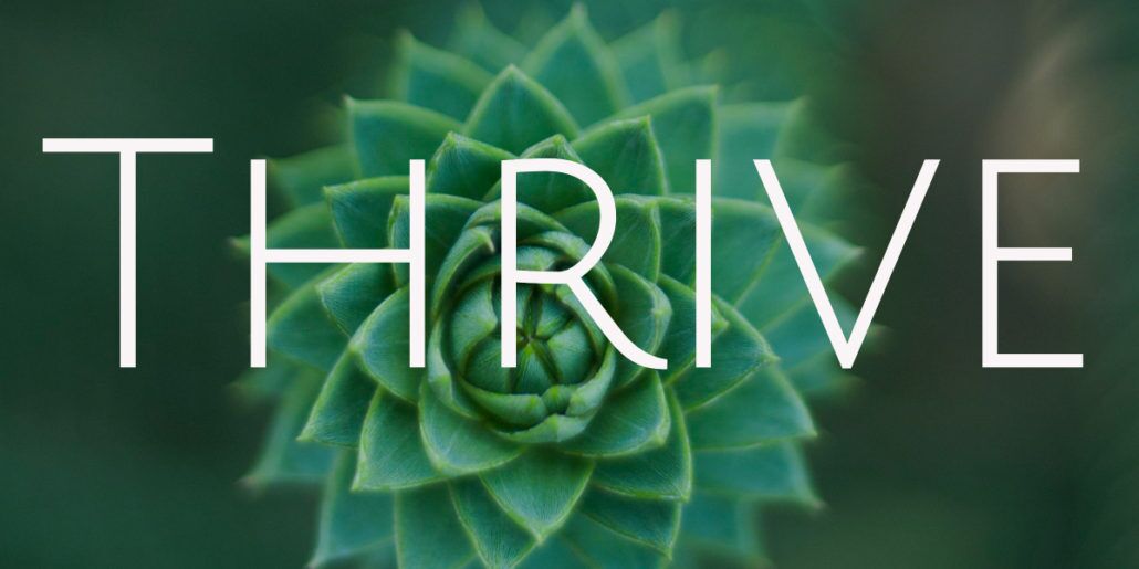 Surviving and Thriving Part 1 | Stepp Up